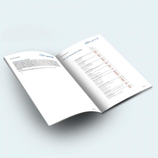 CAD/BIM Manual Review | Skewed